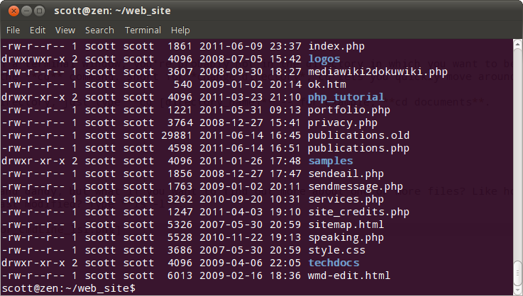 5 Basic Commands Every Linux User Should Know | Techerator